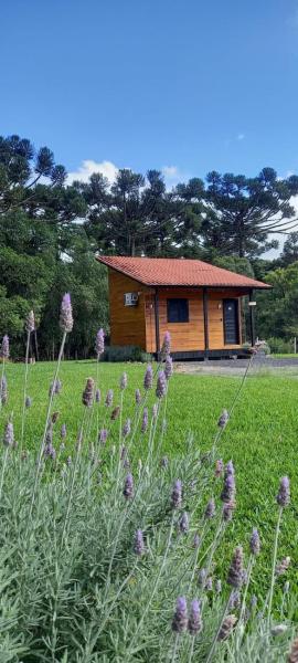 Pousada Morro Dos Pinhais - Santa Catarina (estado)