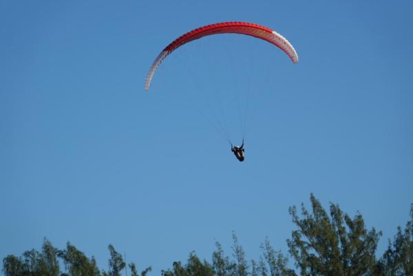 Au Doux Tamarin Des Hauts - Réunion