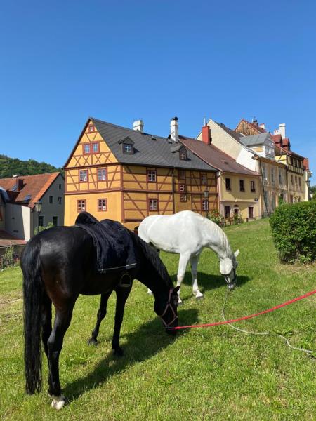 Apartments Loket No 59 Se Zahradou - Sokolov