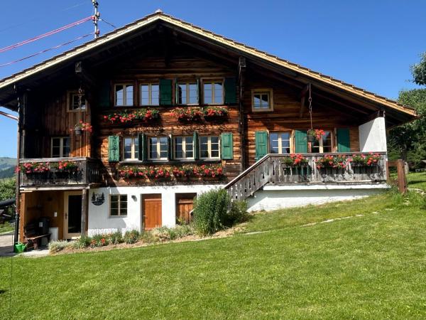 Alpenchalet Haldeli Ferienwohnung - Gstaad
