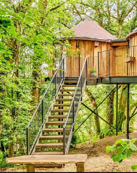 Treehouse In Devon - Riverside Woodland Hideaway - Roadford Lake