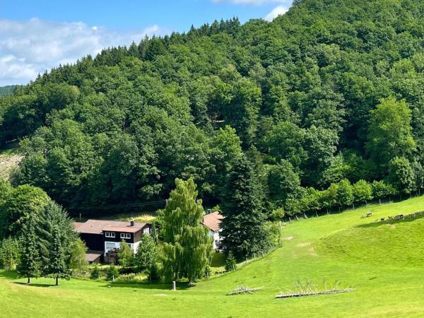 Am Damwildgehege I - Olpe