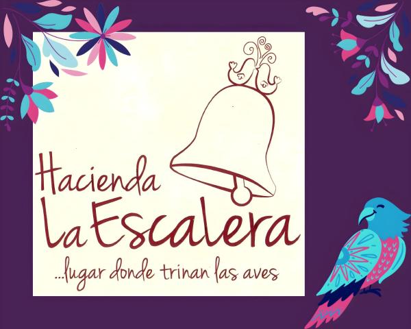 Ex Hacienda - Guanajuato