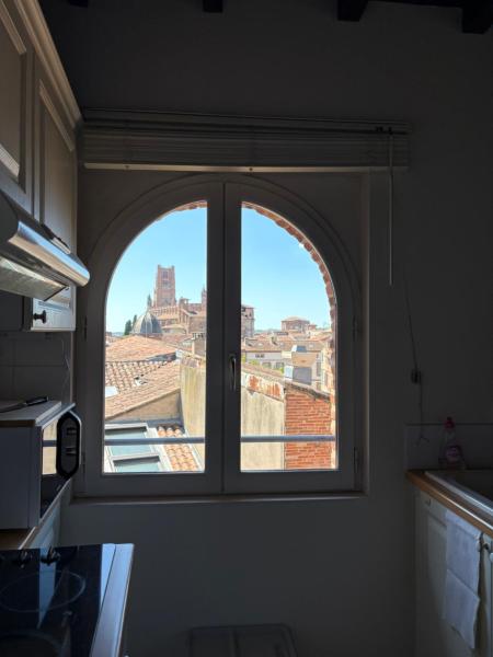 Tour Du Vigan - Vue Cathedrale - Hypercentre - Albi