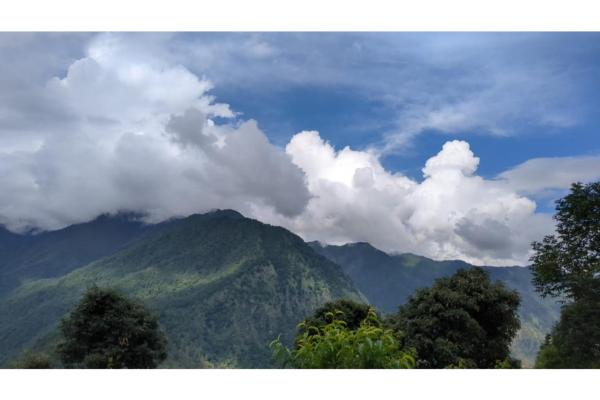 Prince Homestay & Restaurant - Uttarakhand