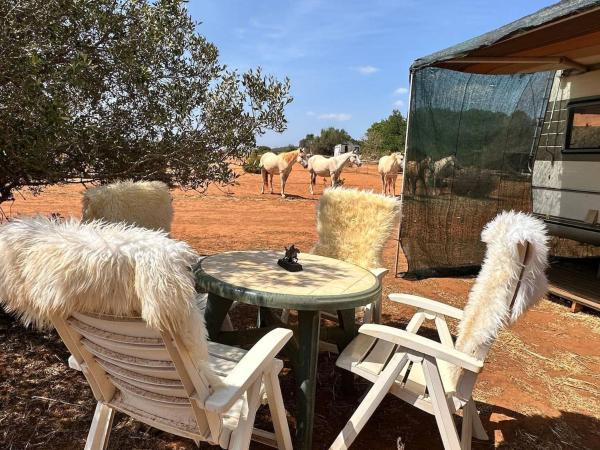 Pauls Caravan For 4 - See The Horses From Your Bed - Sagres