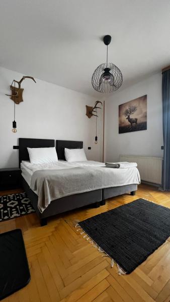 Pensiunea Alpin Predeal - Predeal