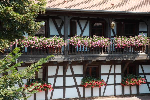 Hotel Restaurant Père Benoît - Lipsheim