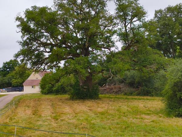 Gite L'ancien Four à Pain Calme Et Douillet - Loiret