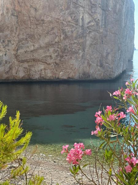 Terracottablue By Nat - Altea