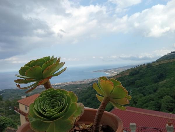Montauro's House - Catanzaro