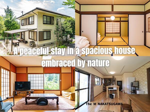 The M Honmachi - Nakatsugawa