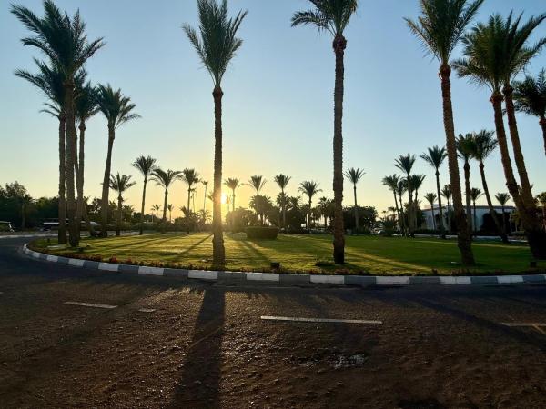 Domina Coral Bay - Sharm El-Sheikh