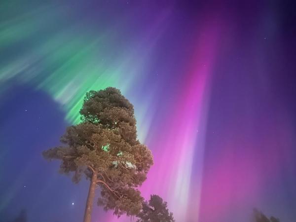 Björnstuga - Sweden