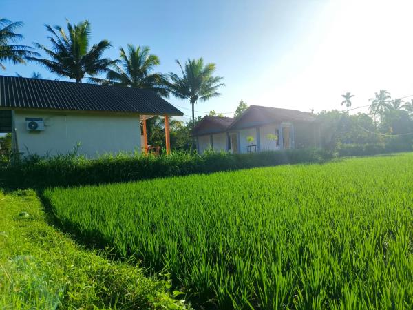 Vaniglia House Tetebatu - West Nusa Tenggara