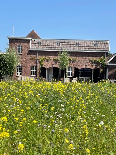 Het Wiekenkruis - Daar Bij Die Kempermolen - Aalten