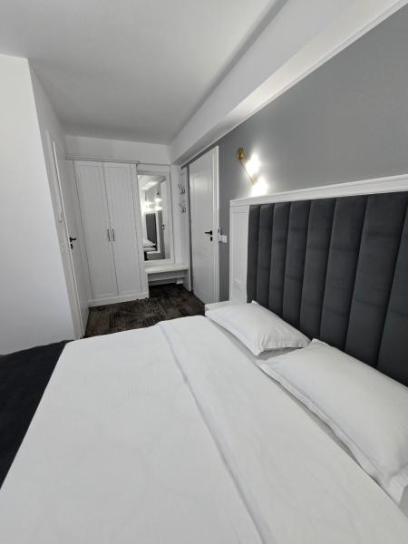 Erene Hotel - Câmpulung Moldovenesc