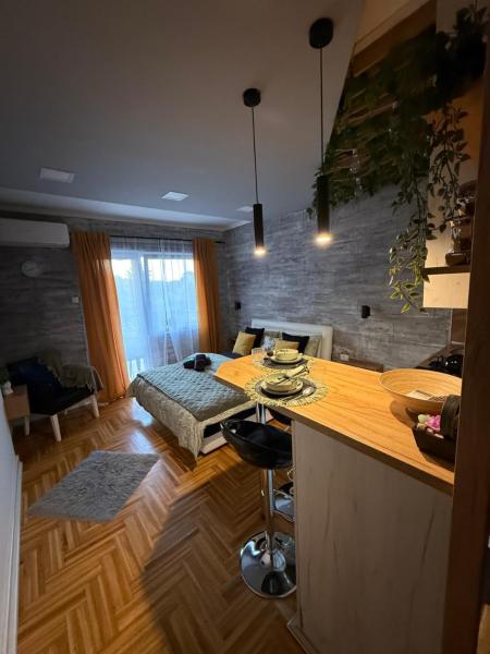 Maslačak Subotica - Subotica