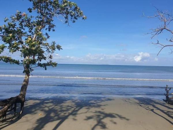 Cozy Bure - Fiji
