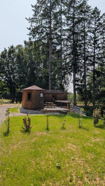 L'écorce & Le Tanin - 2 Cabanes Cosy Pour 4, Pêche - Lure