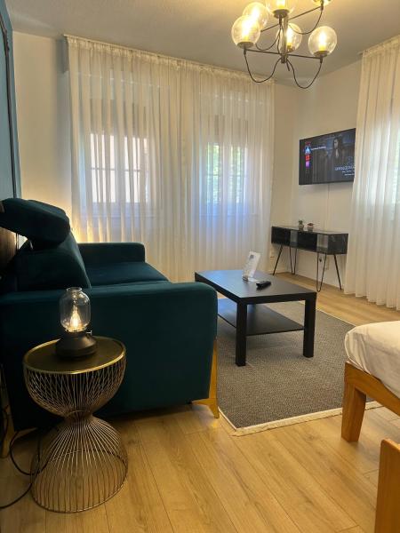 Petite France Apartment Strasbourg - Strasbourg