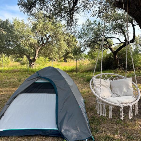 Camping Qeparo - Borsh