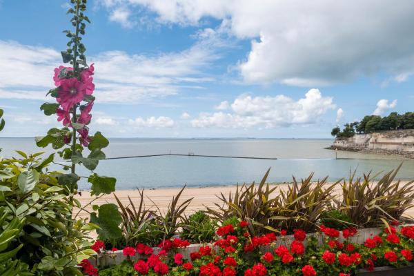 Le Bois Vert Chambres D'hôtes - Châtelaillon-Plage