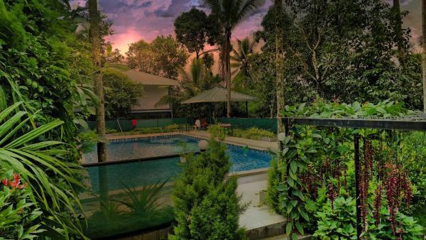 Bob Green Aura - Wayanad