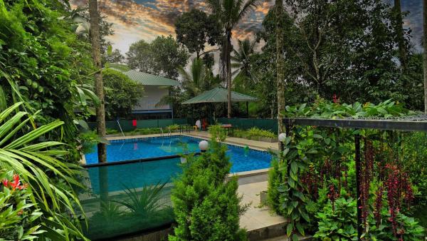Green Aura By Bob - Bandipur