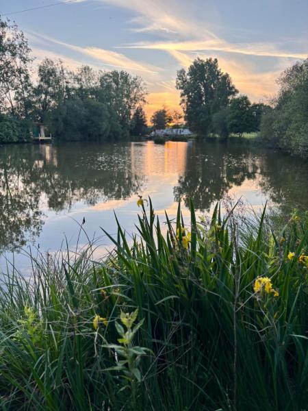 Les Rives De Bel Air - Hébergements - Camping - Caravaning - Orne