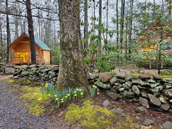 Smoky Mountain Retreat - 2 Cabins - Cosby, TN
