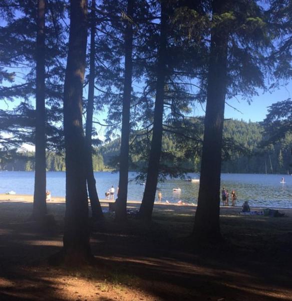The Owls Nest At Westwood Lake - Nanaimo