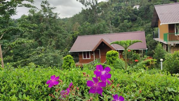 Don's River Valley Jungle Resort -