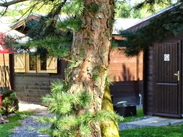 Bike Hostel&camp - Polen