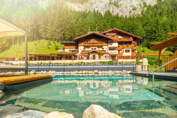 Hotel-restaurant Burgblick - Goldegg