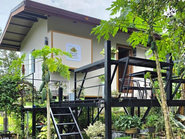 Khaosok Impress - Khao Sok