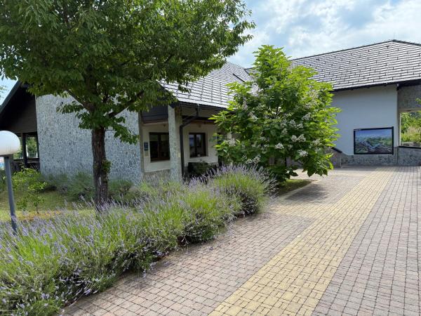 Villa Stone - Croatia