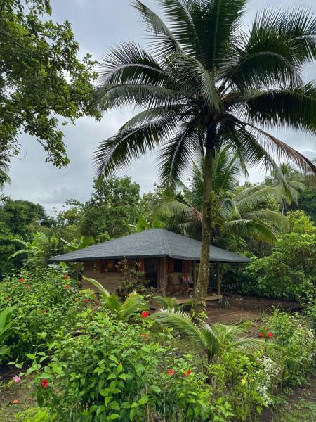 Madre Selva Eco Lodge - Colombia