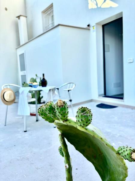 Vischi Roof Con Terrazzo E Vista - Trani