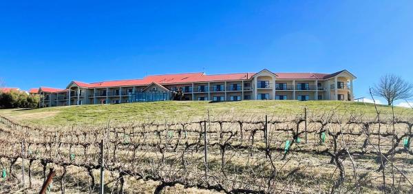 Turners Vineyard Motel - Millthorpe