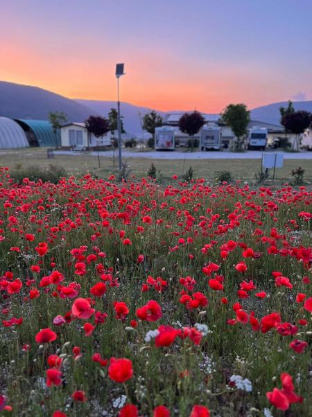Agricamping Brandimarte - Bungalow Del Pastore - Norcia