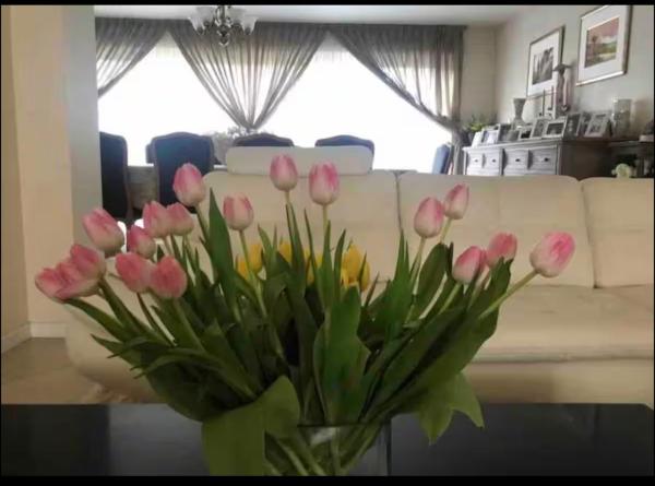 Mariadal Villa - Courcelles