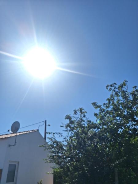 Refúgio Da Corcha Casa De Campo E Mar Zambujeira Do Mar - Alentejo