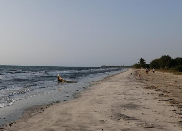 El Refugio Del Caiman By Amauna - Córdoba (Colombia)