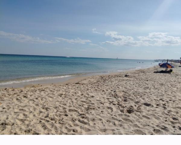 Appartement Ranyara Vue Piscine Et Détentee Hamamet - Nabeul