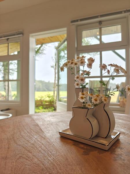 Bnb Nest & Weide - Friesland