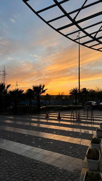 Morning Bliss - Noida