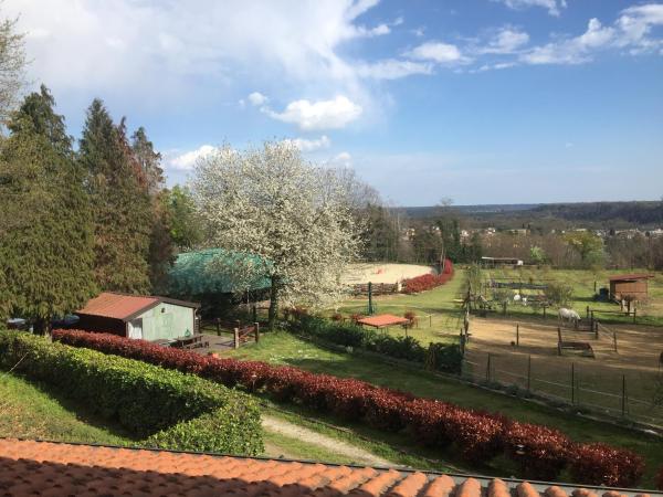 Agriturismo Tenuta Blueberry - Glicine - Alps