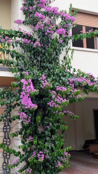Charming Lake Garda Escape - Torri del Benaco