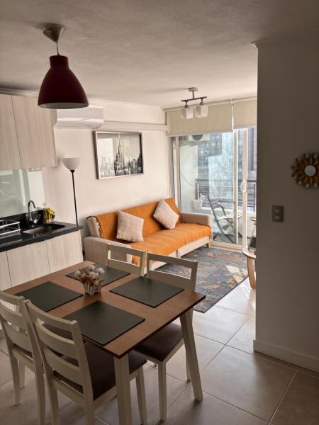 New Central Apartment - Santiago